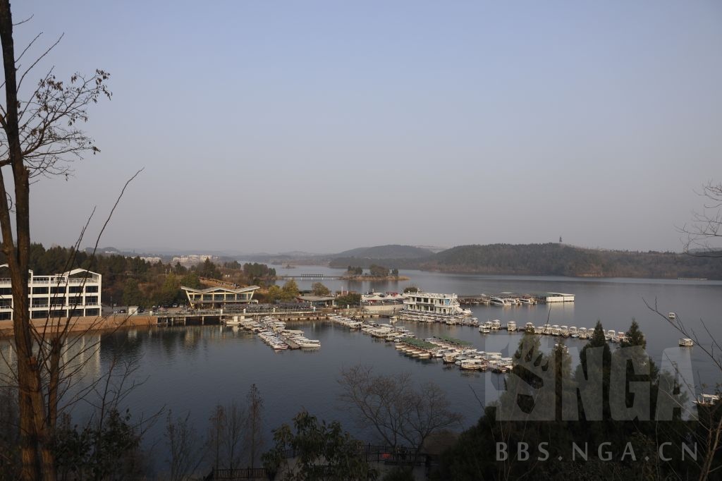 [器材交流] 同一场景的米10Ultra vs EOS R，大家看差距如何 NGA玩家社区