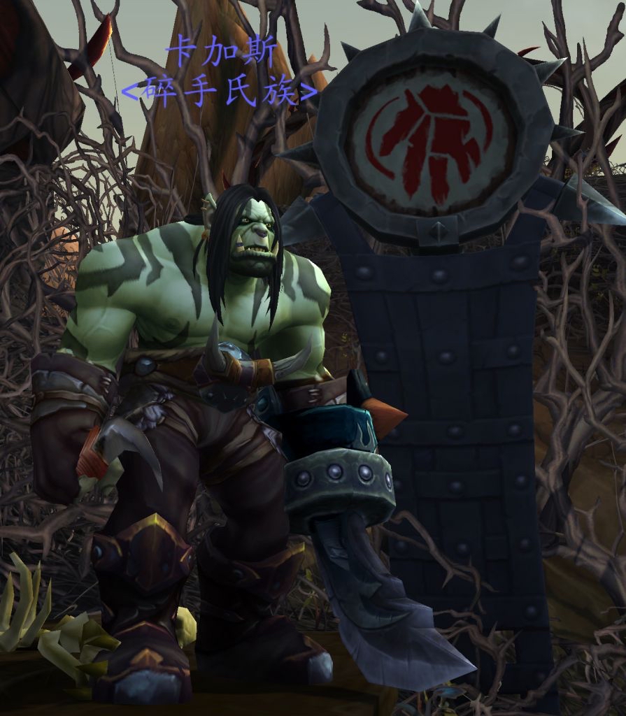 [PTR] 几款兽人战旗[背部幻化] NGA玩家社区