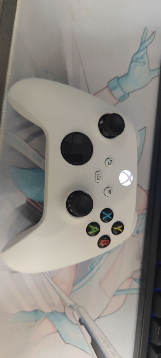 看了论坛科普贴，再逛了下手柄吧，最后还是入了xbox手柄 NGA玩家社区