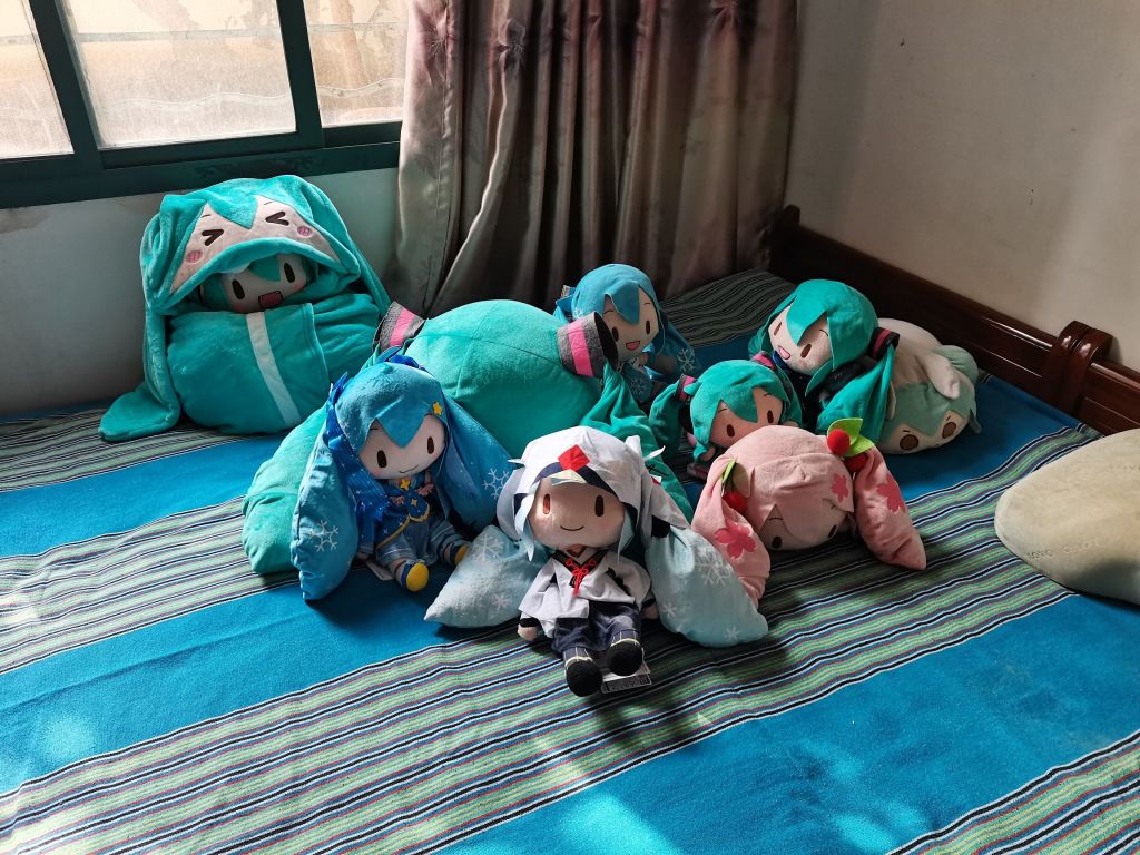 [fufu水][氵]回宿舍了，我妈重新帮我摆了fufu 178