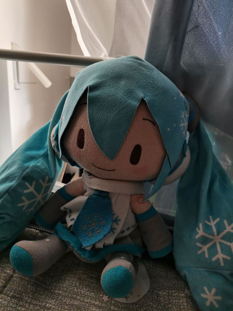 [fufu水][氵]回宿舍了，我妈重新帮我摆了fufu 178