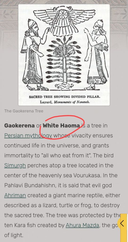 [剧情讨论]博士烧树应该还是烧的是这棵树吧 NGA玩家社区