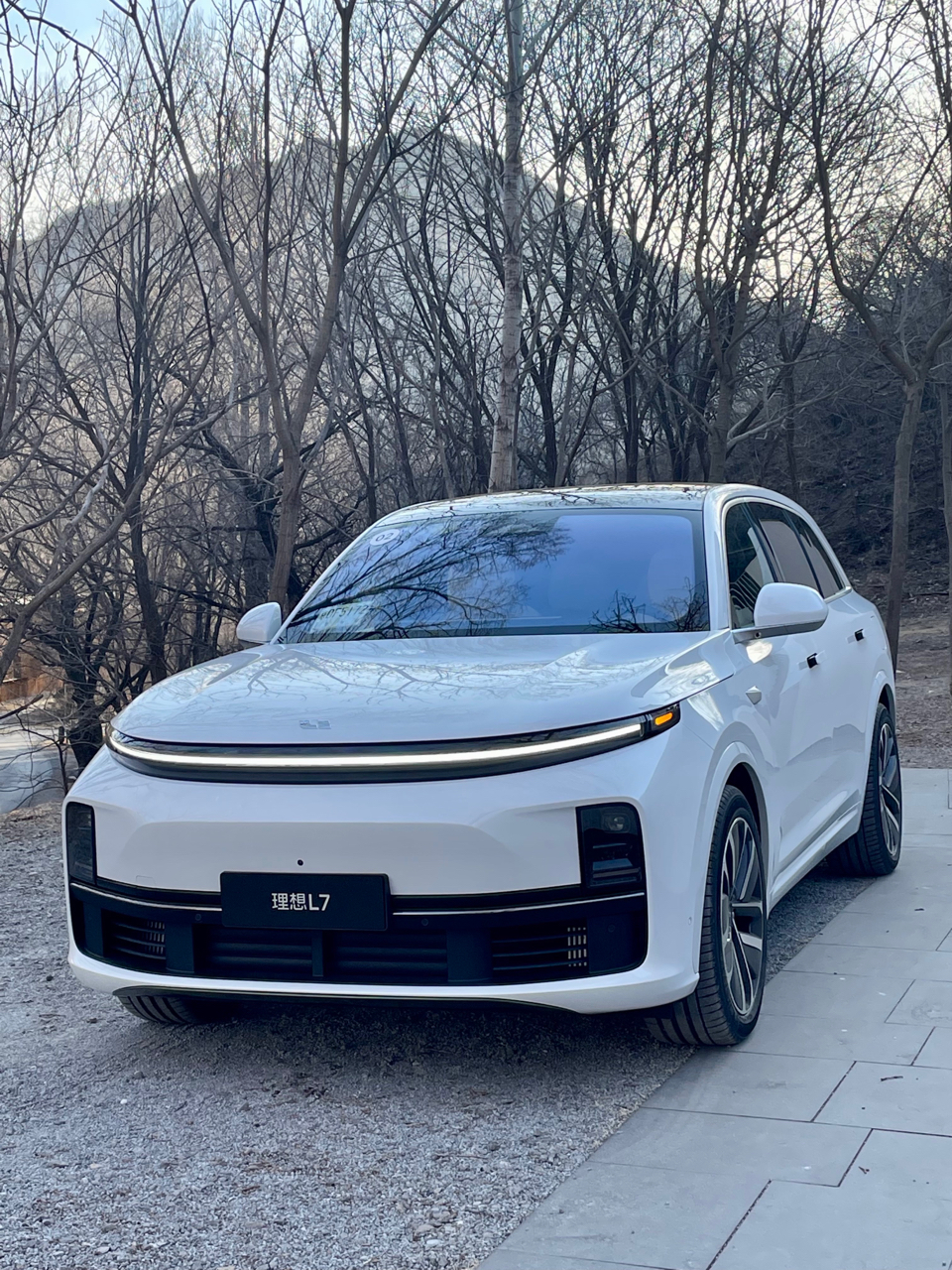 理想L7 纠结颜色， NGA玩家社区