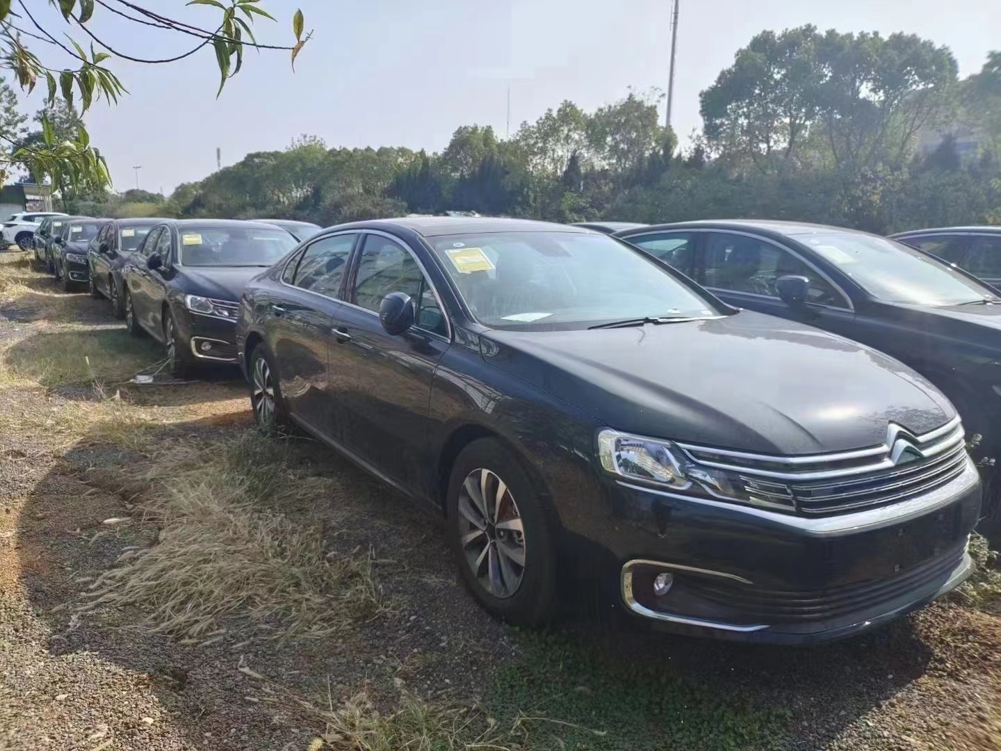 看到C6的库存 NGA玩家社区