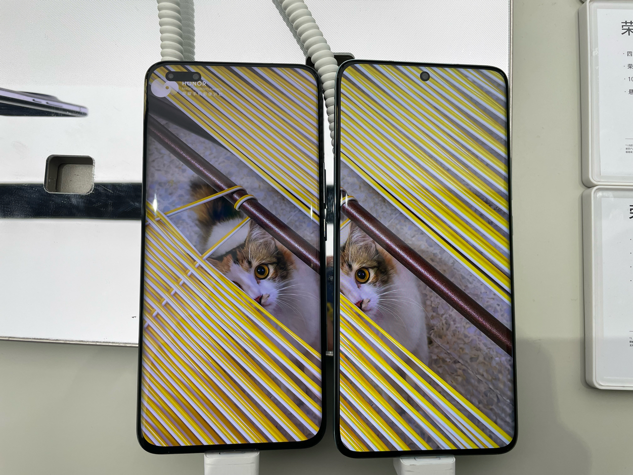 [求助] 兄弟们，纠结啊，小米13Pro还是magic5pro? NGA玩家社区