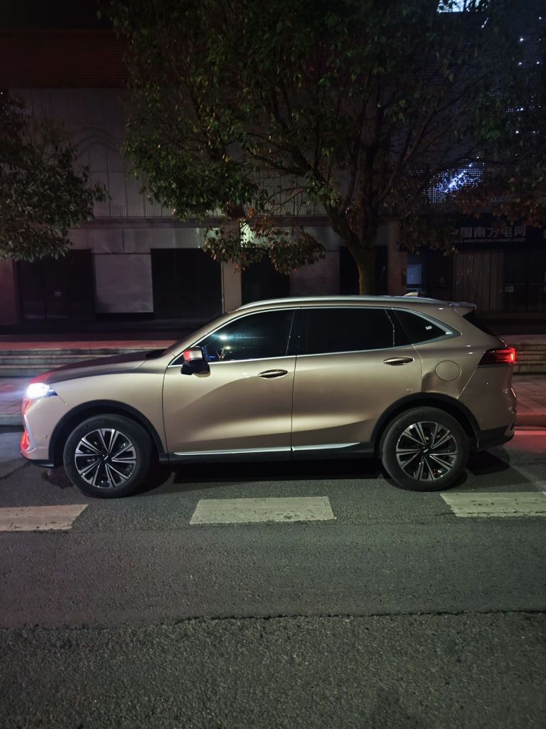 拿铁DHT-PHEV 两驱超大提车 NGA玩家社区