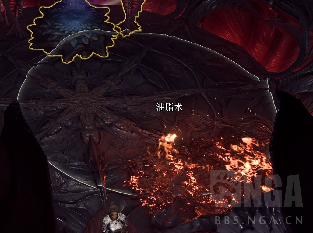 [破事水] dnd里油腻术可燃吗 NGA玩家社区