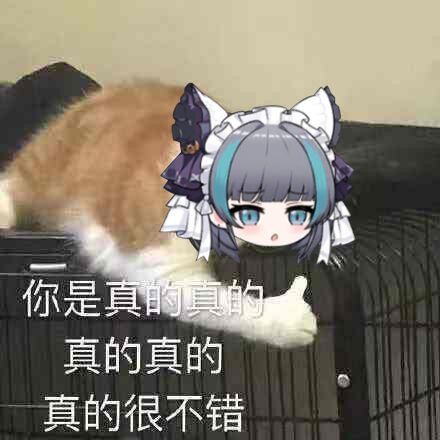 出uu加速器mac端，今天刚开 NGA玩家社区