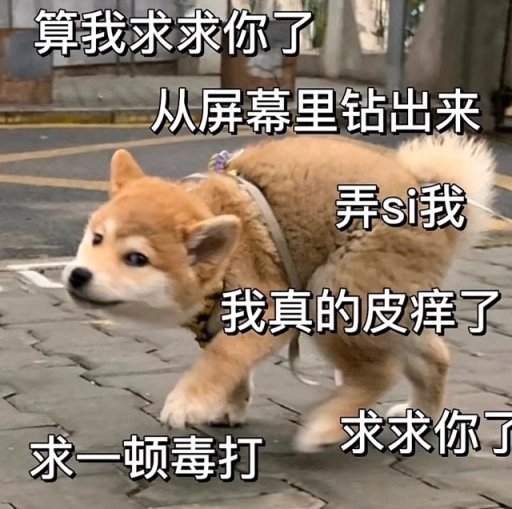 多来点攻击性很强的表情包 178