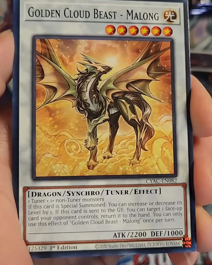 [新卡氵]tcg偷跑卡 首个刻度为11的灵摆怪兽 178