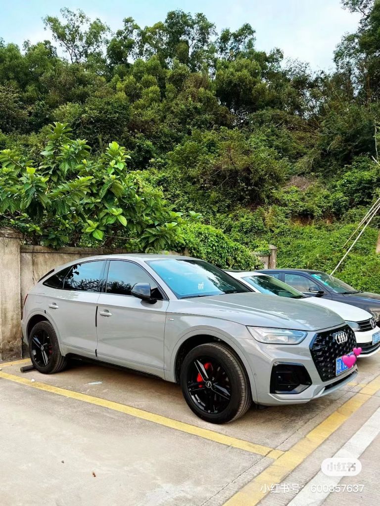 q5l sportback 选纳多灰还是黑武士？ NGA玩家社区