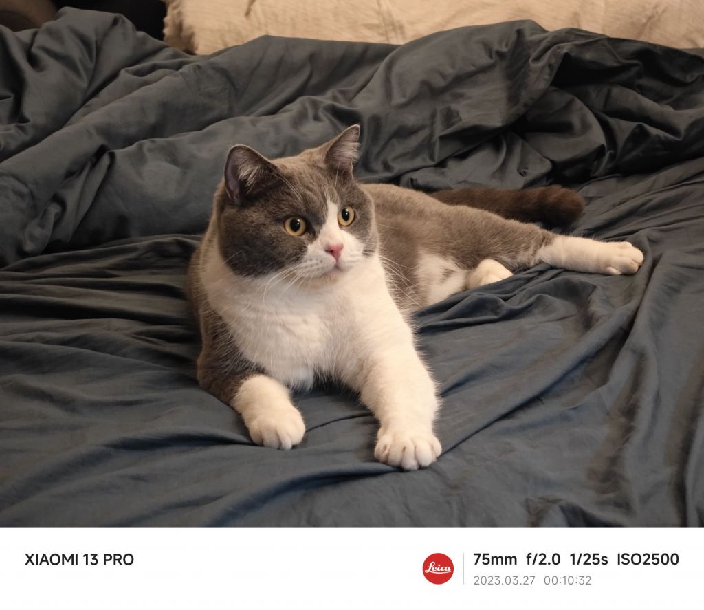 小米13Pro随拍 NGA玩家社区