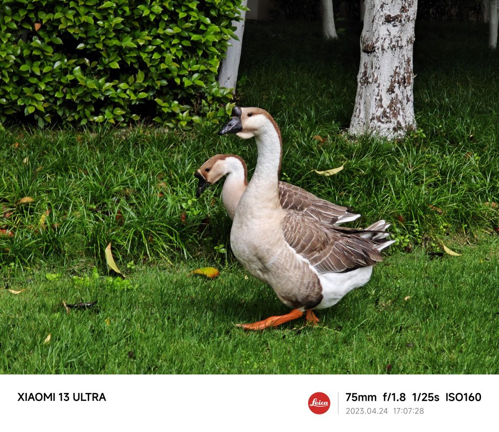 手持13U,各位的13U晃起来会响么 NGA玩家社区