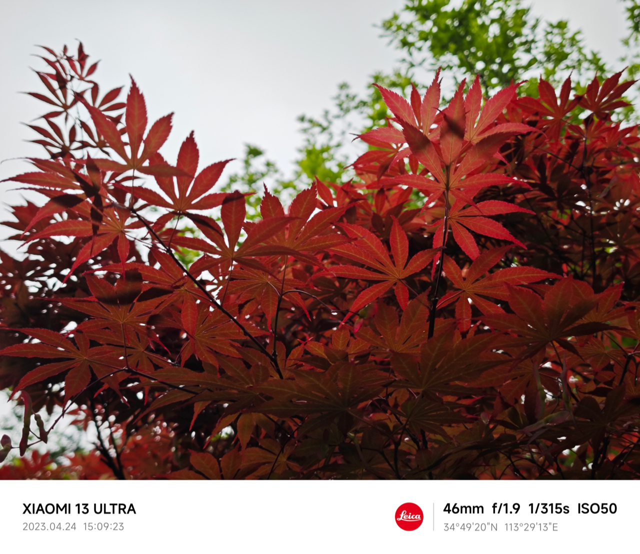 来更新一组13u的照片 NGA玩家社区