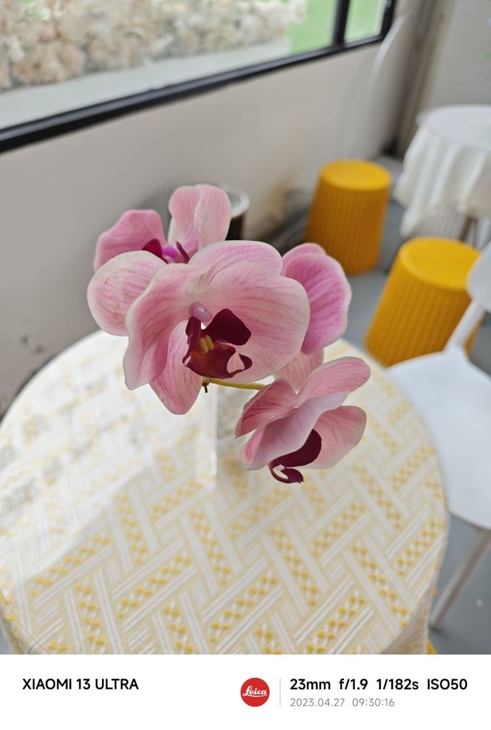 来更新一组13u的照片 NGA玩家社区