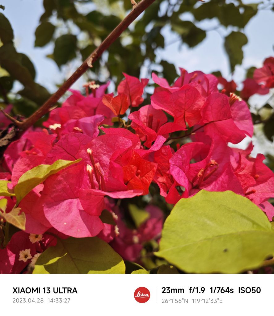 13u第一次出去拍照 178