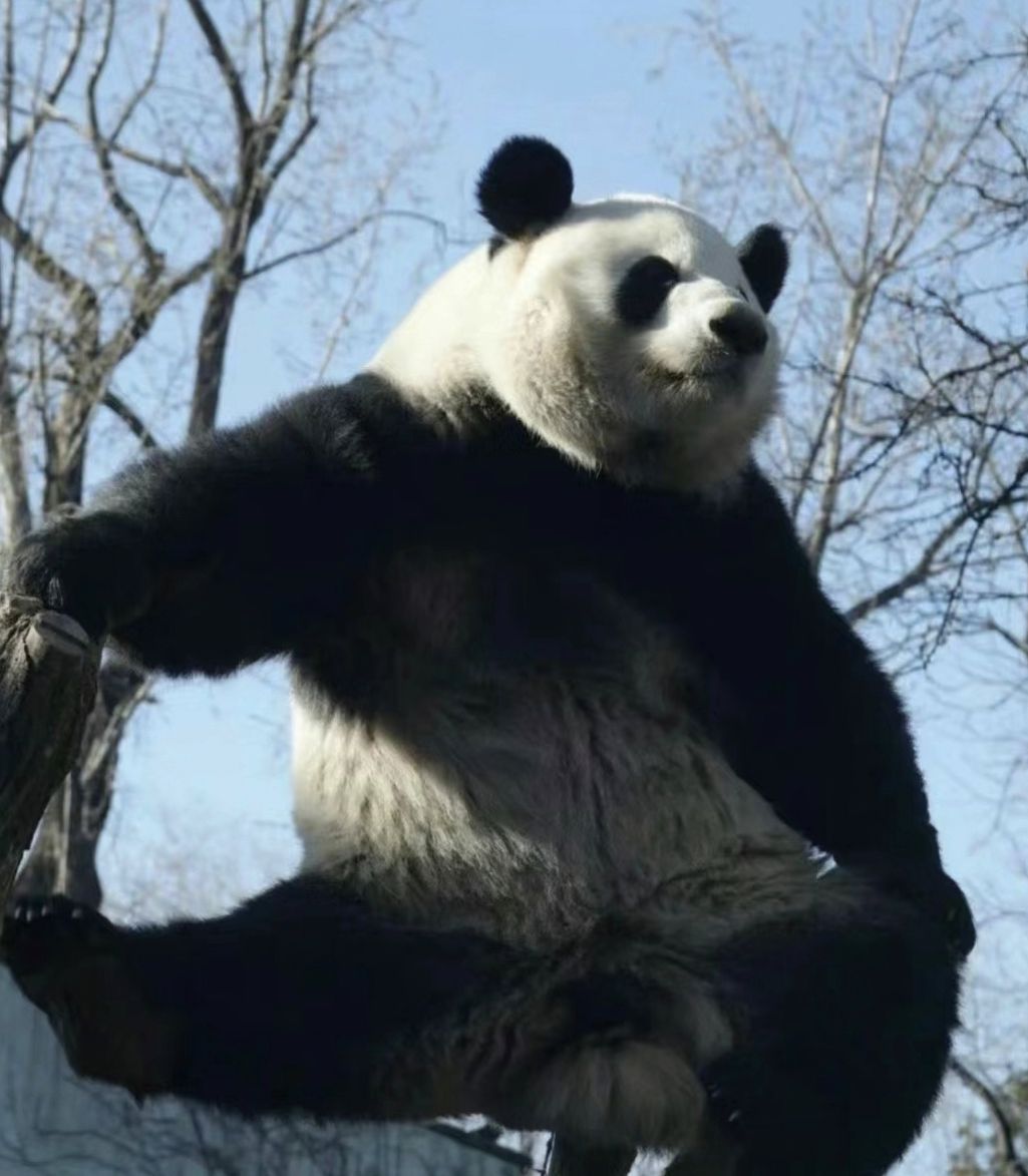 西直门三太子是什么 178