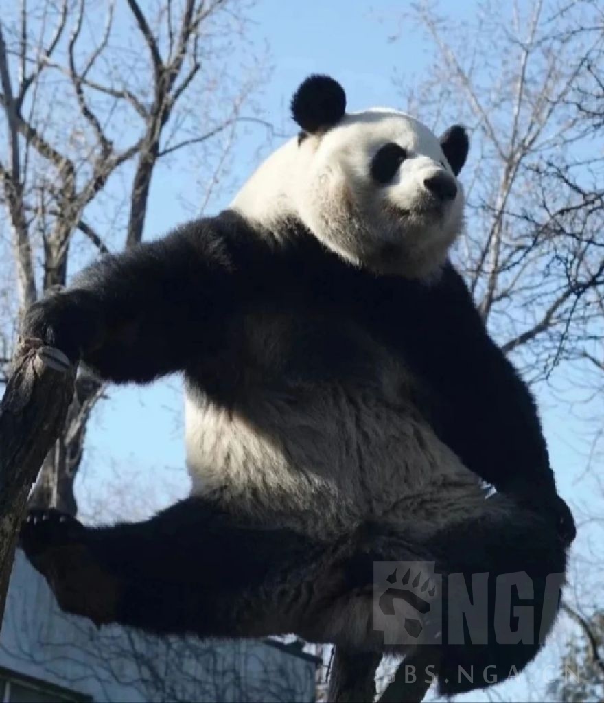 西直门三太子是什么 178