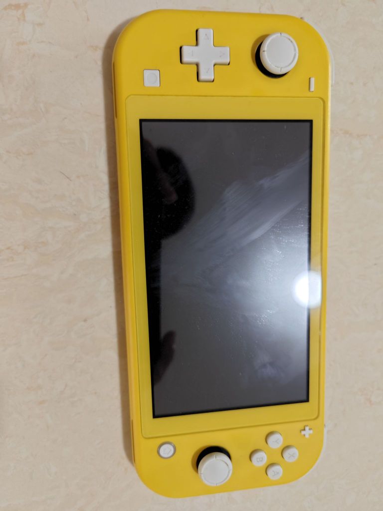 出欧版Switch lite NGA玩家社区