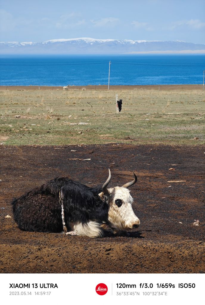 分享一点13U直出 NGA玩家社区