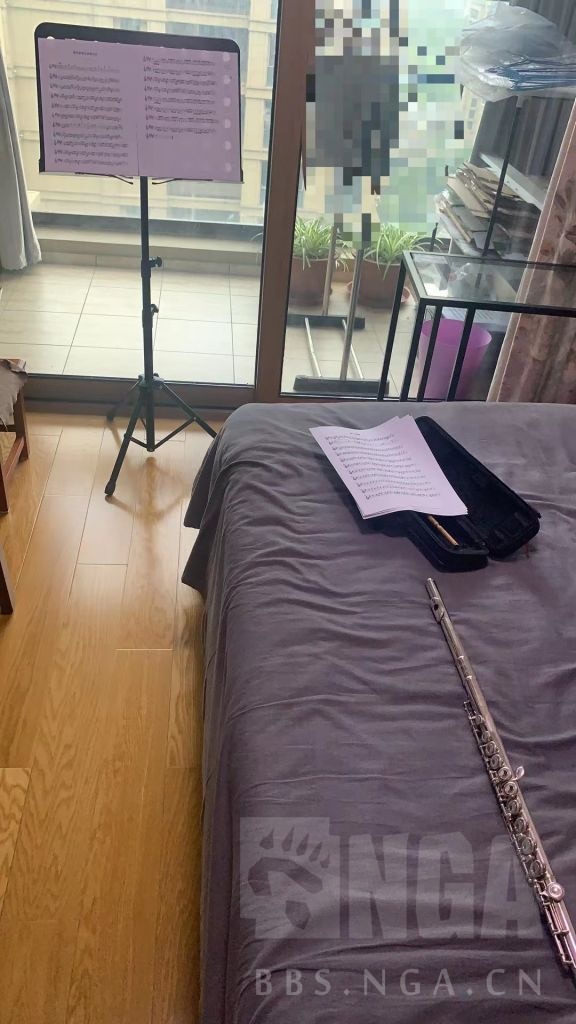 我来许愿一个会乐器的42 NGA玩家社区