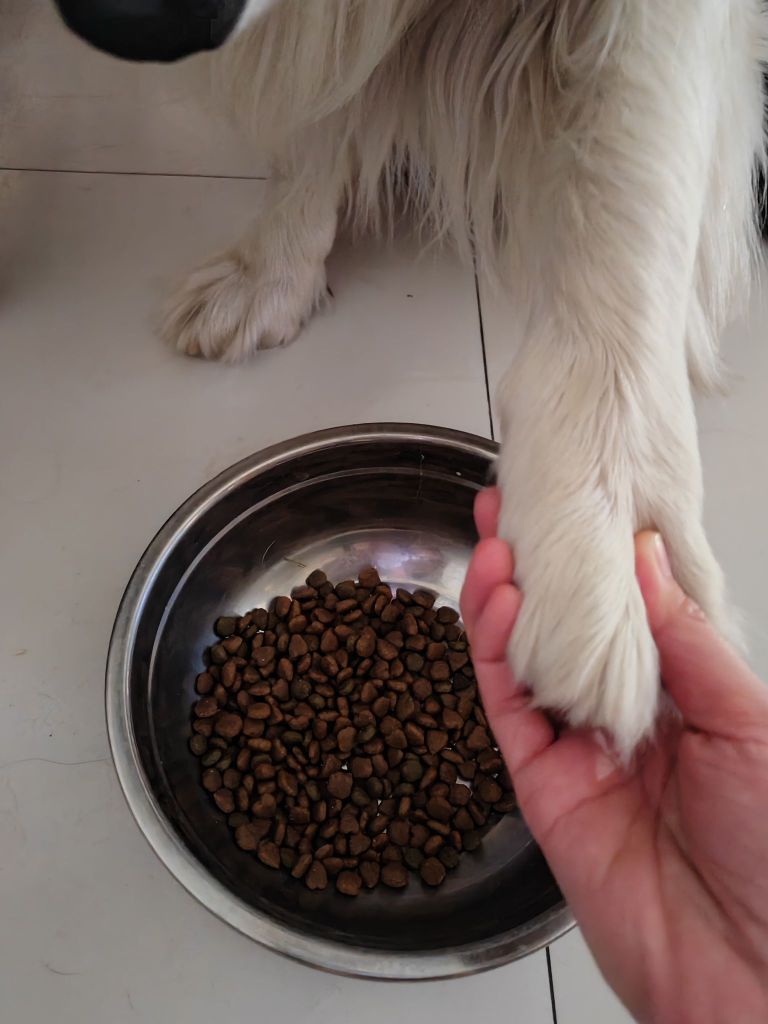 520晒照了 NGA玩家社区