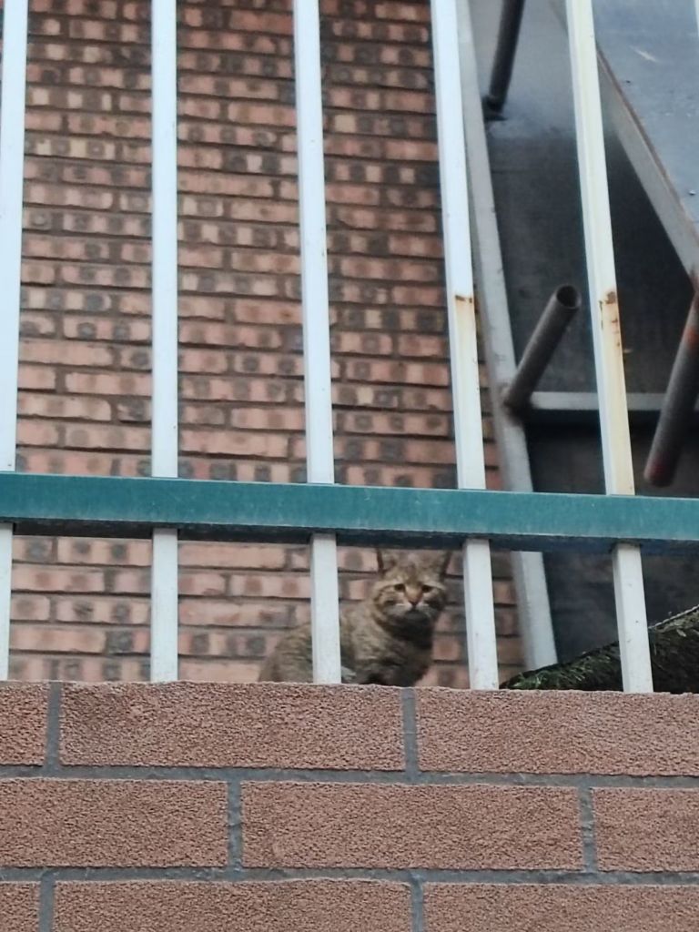 520晒照了 NGA玩家社区