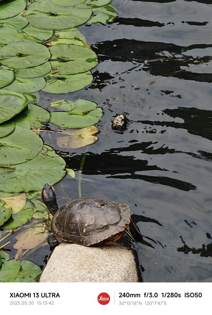 vivo x90pp与小米13u使用对比 178