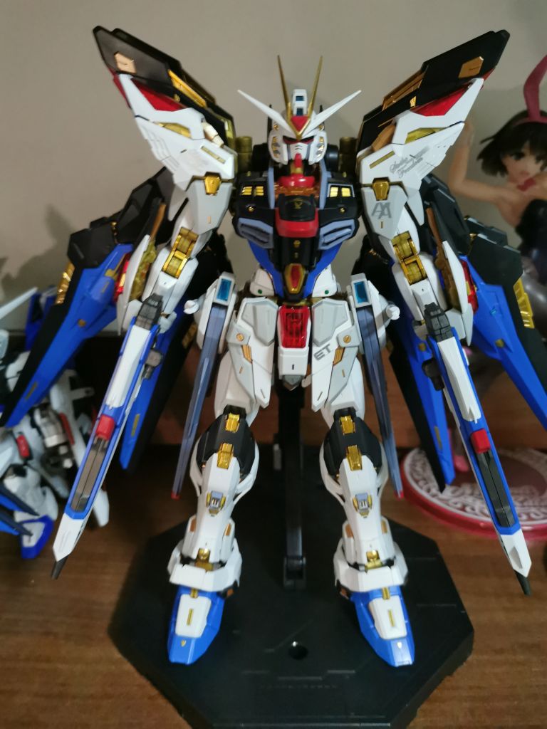 [拼装]女朋友送的MGEX终于做完了 NGA玩家社区