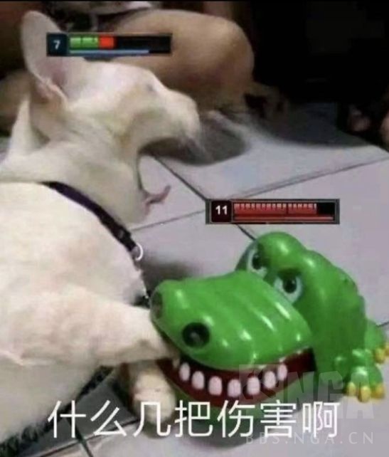 [本赛区赛事] 我抄！bin！+ NGA玩家社区