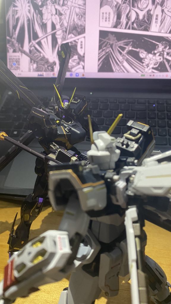 [可动成品]MetalBuild海盗高达X2 NGA玩家社区