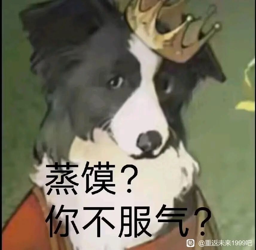 [闲谈交流] [提问求教] 求一个皮克勒斯表情包~ NGA玩家社区