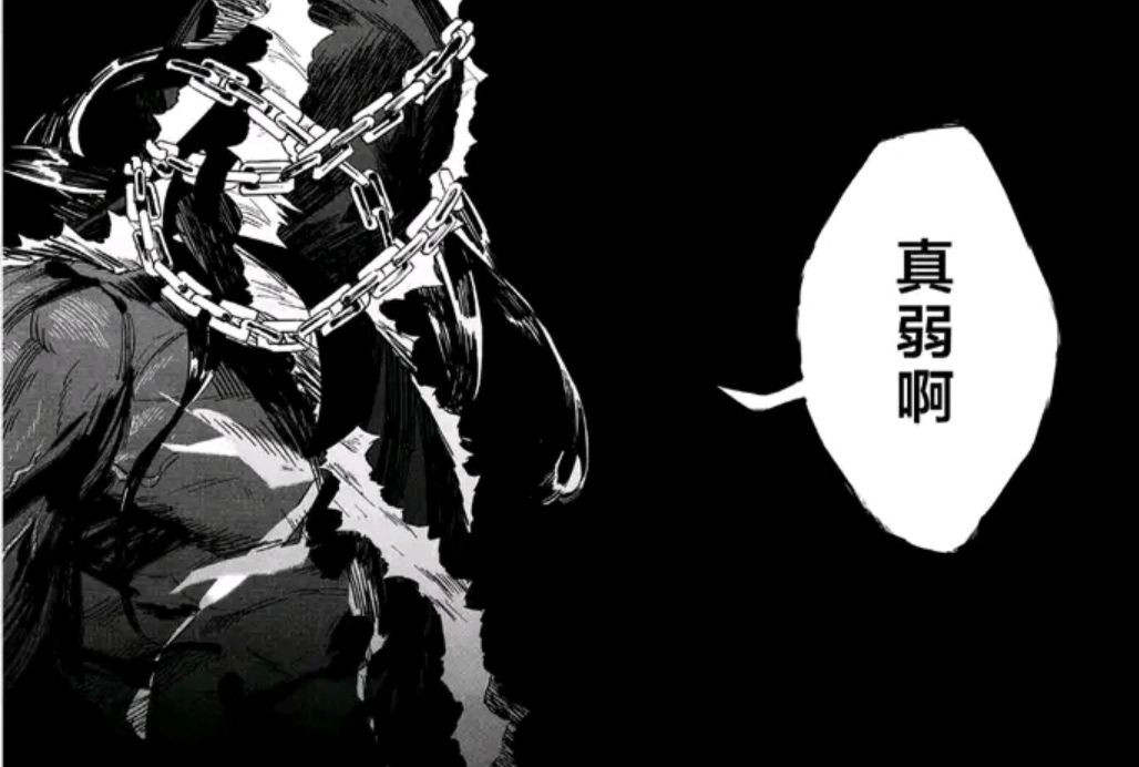 fsf动画出来，又是一堆闪厨想要“平反”士闪战 NGA玩家社区