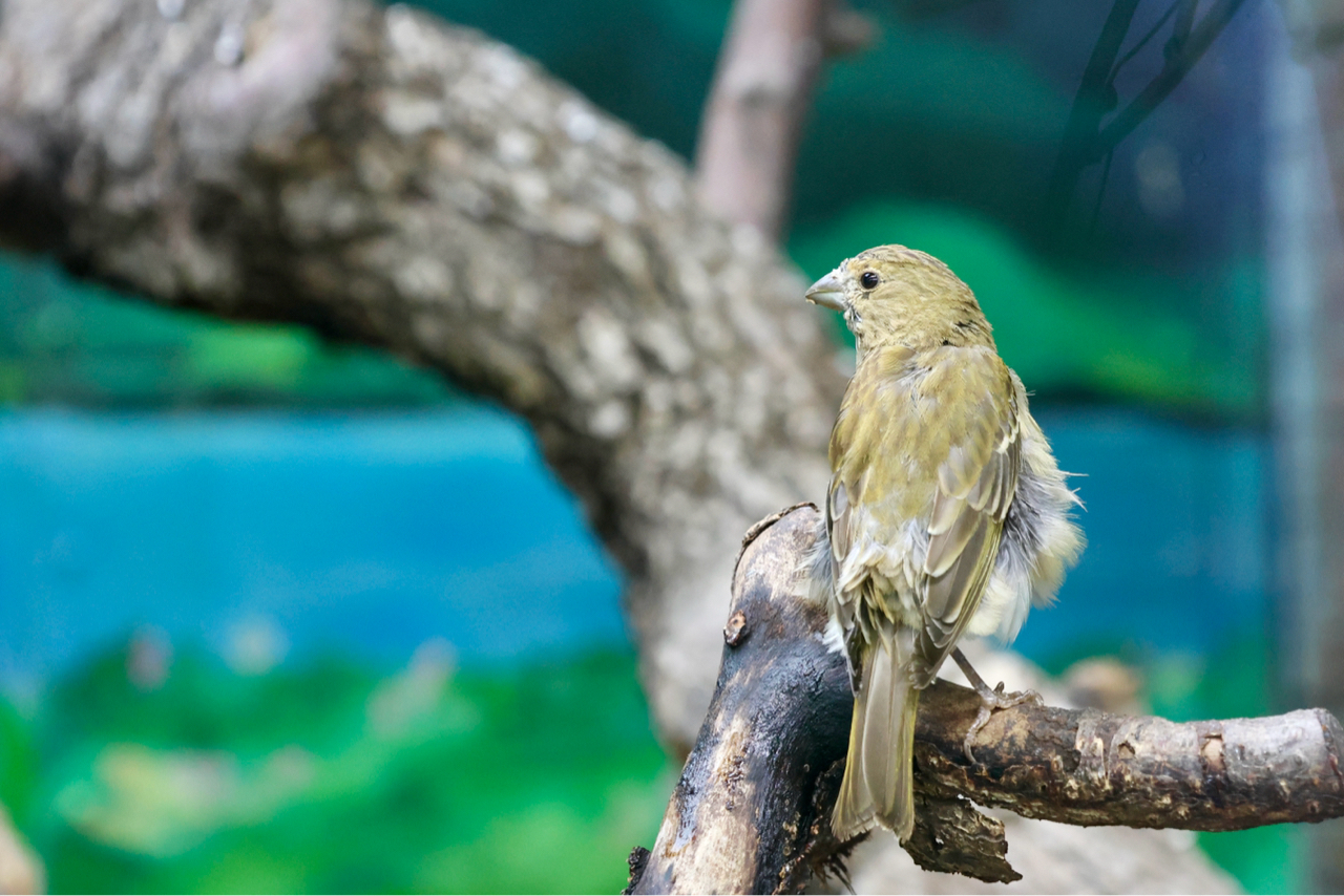 [器材交流] 出佳能R7的一些镜头，全自用 NGA玩家社区