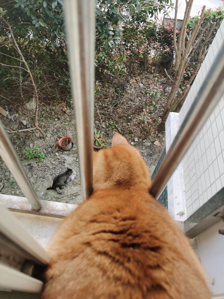 有没有最近提车M5EV智障版的老哥，分享一下心得 NGA玩家社区