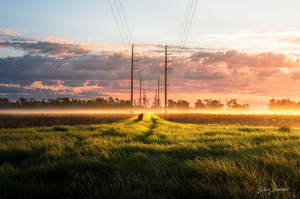 我拍到了一张可遇不可求的照片 NGA玩家社区