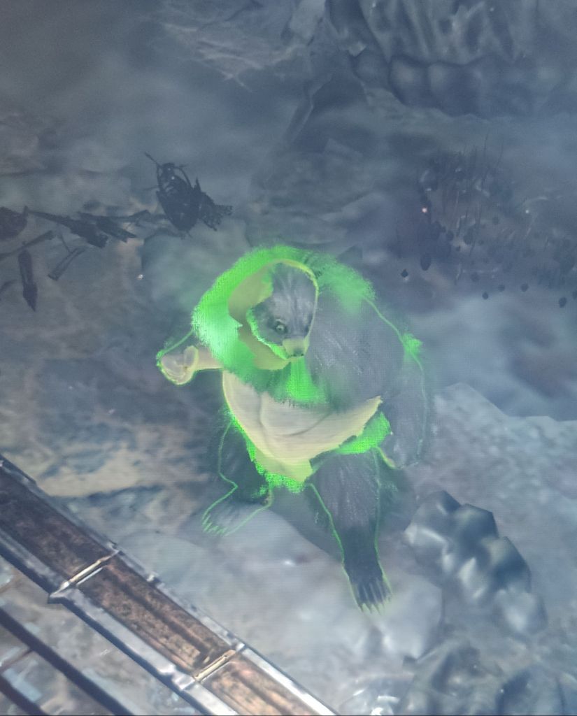 [讨论]魔兽有光荣女兽人，D3有王玫瑰，D4有什么？？？ NGA玩家社区