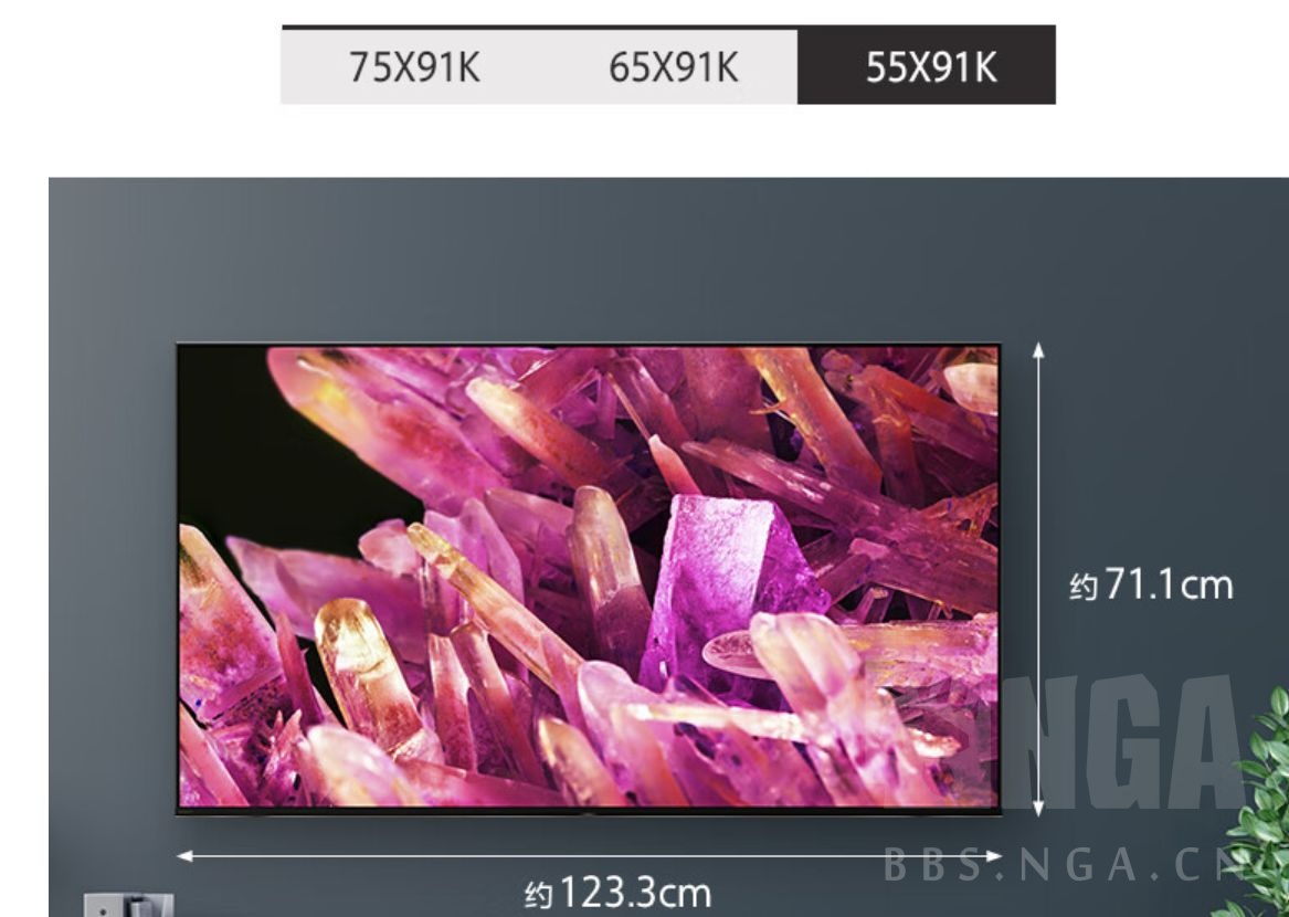 索尼X91K尺寸咨询，这位置该装55寸还是65寸电视呀 178