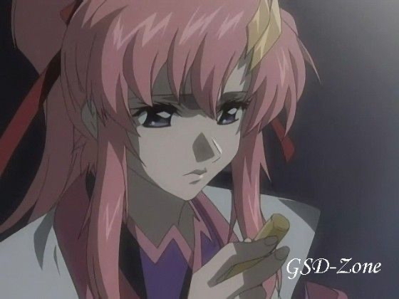 Seed剧场版求求别拍了，我的拉克丝怎么崩了！ NGA玩家社区