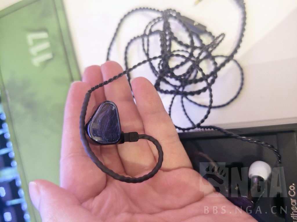 [饰品讨论] [没错这就是饰品]插播一条新闻，买的NiKo同款耳机今天到货了 NGA玩家社区