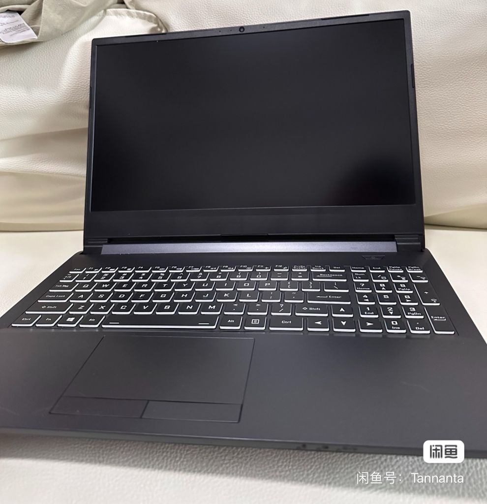 炫龙M7 R7-5800H 16+512 3070 NGA玩家社区