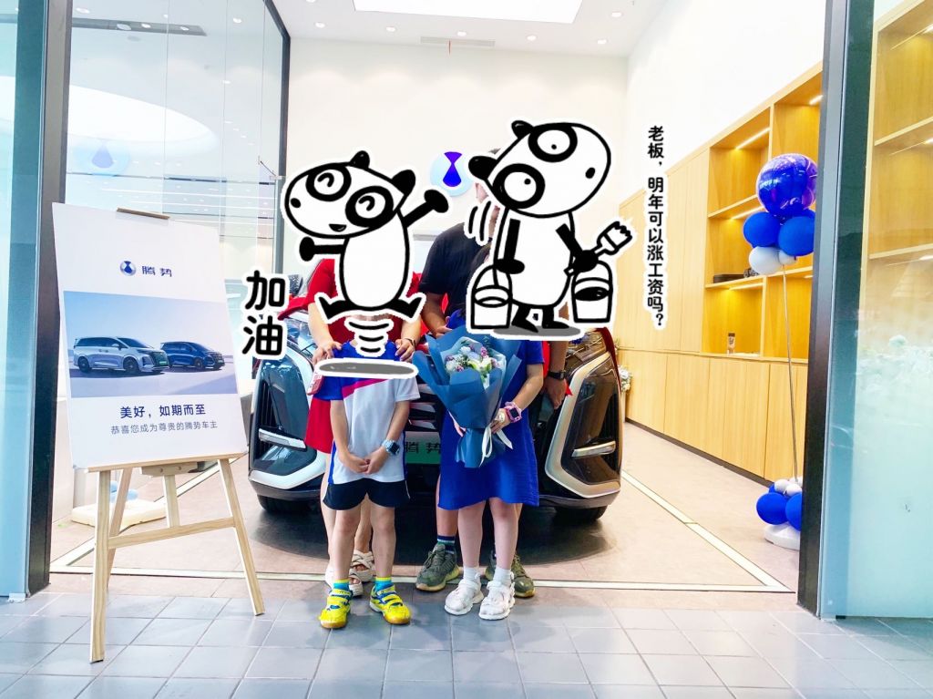 腾势D9 dmi提车作业 NGA玩家社区