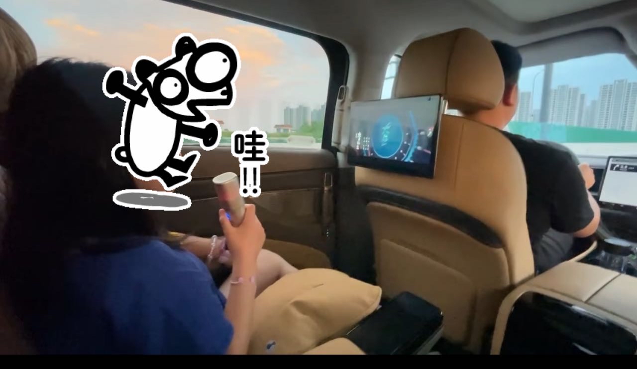 腾势D9 dmi提车作业 NGA玩家社区