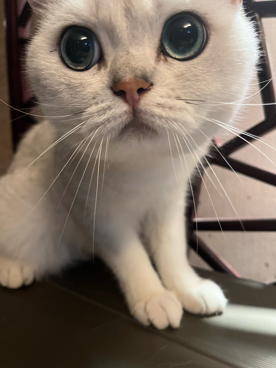 [闲聊杂谈]和药王卡夫卡拼了之01景10罗停艾嗯造雷抗喜提4t NGA玩家社区