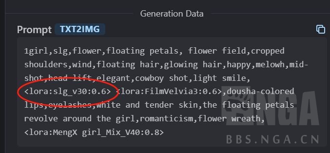请教一下，SLG这个lora是啥？ NGA玩家社区