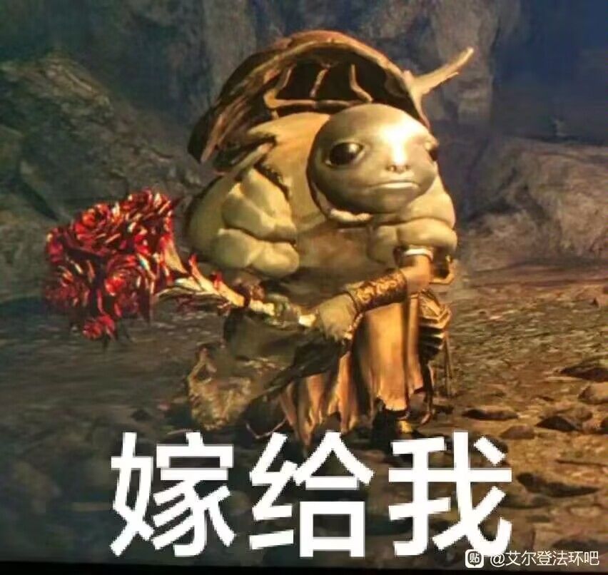 怎么现在什么吊图都有啊 NGA玩家社区