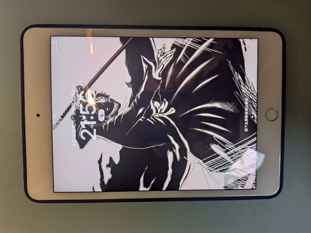 出个iPad mini5 NGA玩家社区