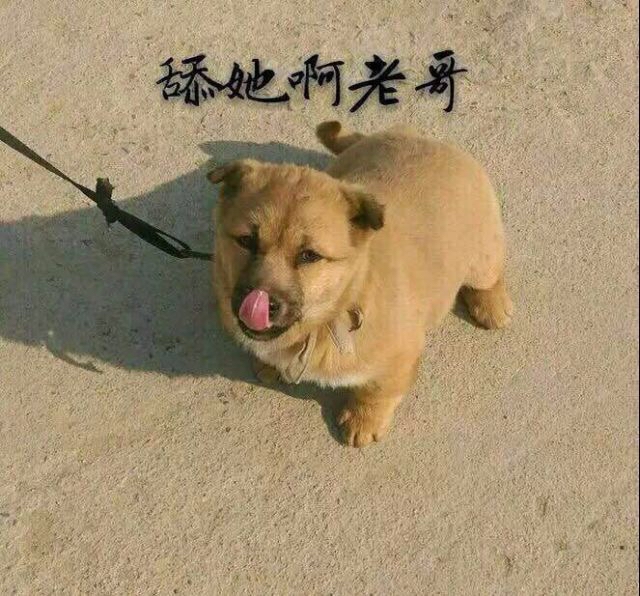 好纠结G6还是001啊 178