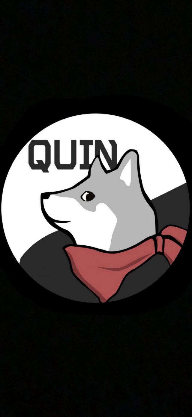 [求助] 求一张quin的表情包的高清版 NGA玩家社区