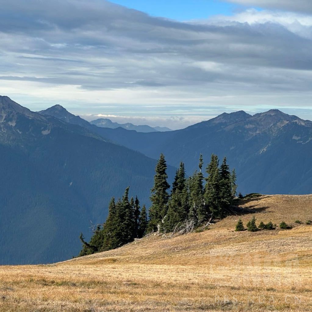 A7CII和Q2/Q3选哪个？ NGA玩家社区